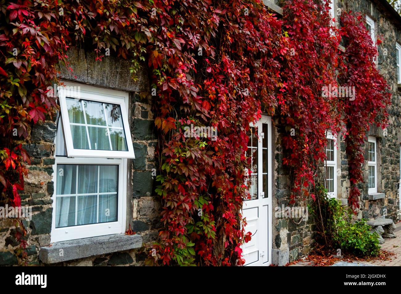 Virginia park lodge cavan hi-res stock photography and images - Alamy
