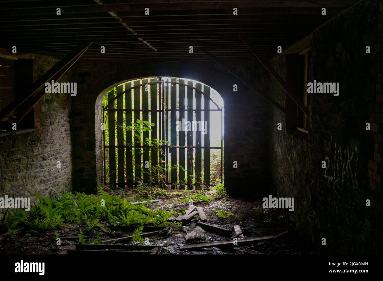 Boathouse ruins in the wetlands of Lough Ramor in Deerpark, County ...