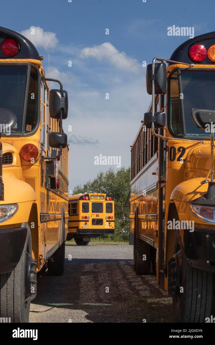 Big Yellow School Bus are parked, clean and shiny waiting to bring the ...