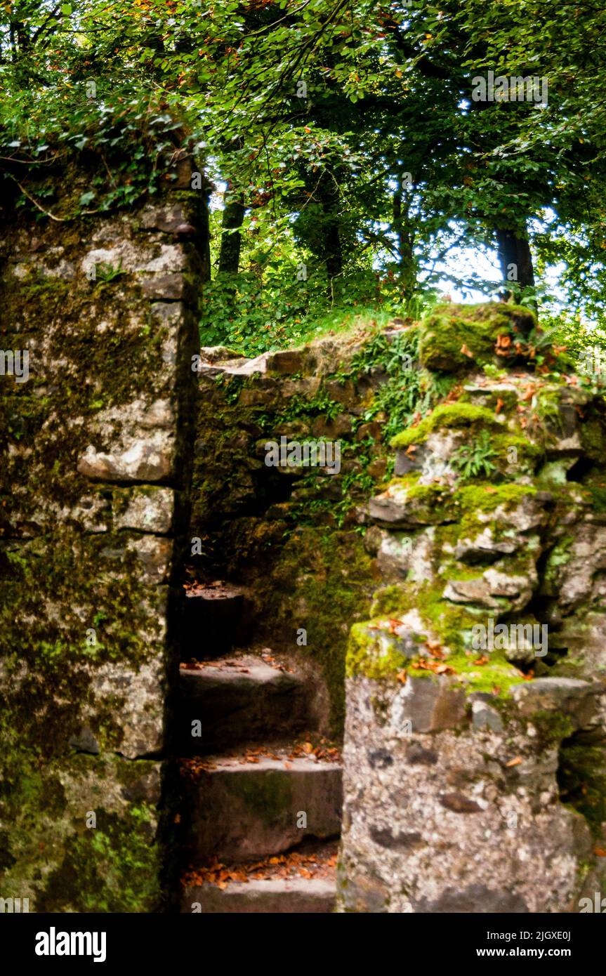 Boathouse spiral stairway ruins in County Cavan, Virginia, Ireland ...