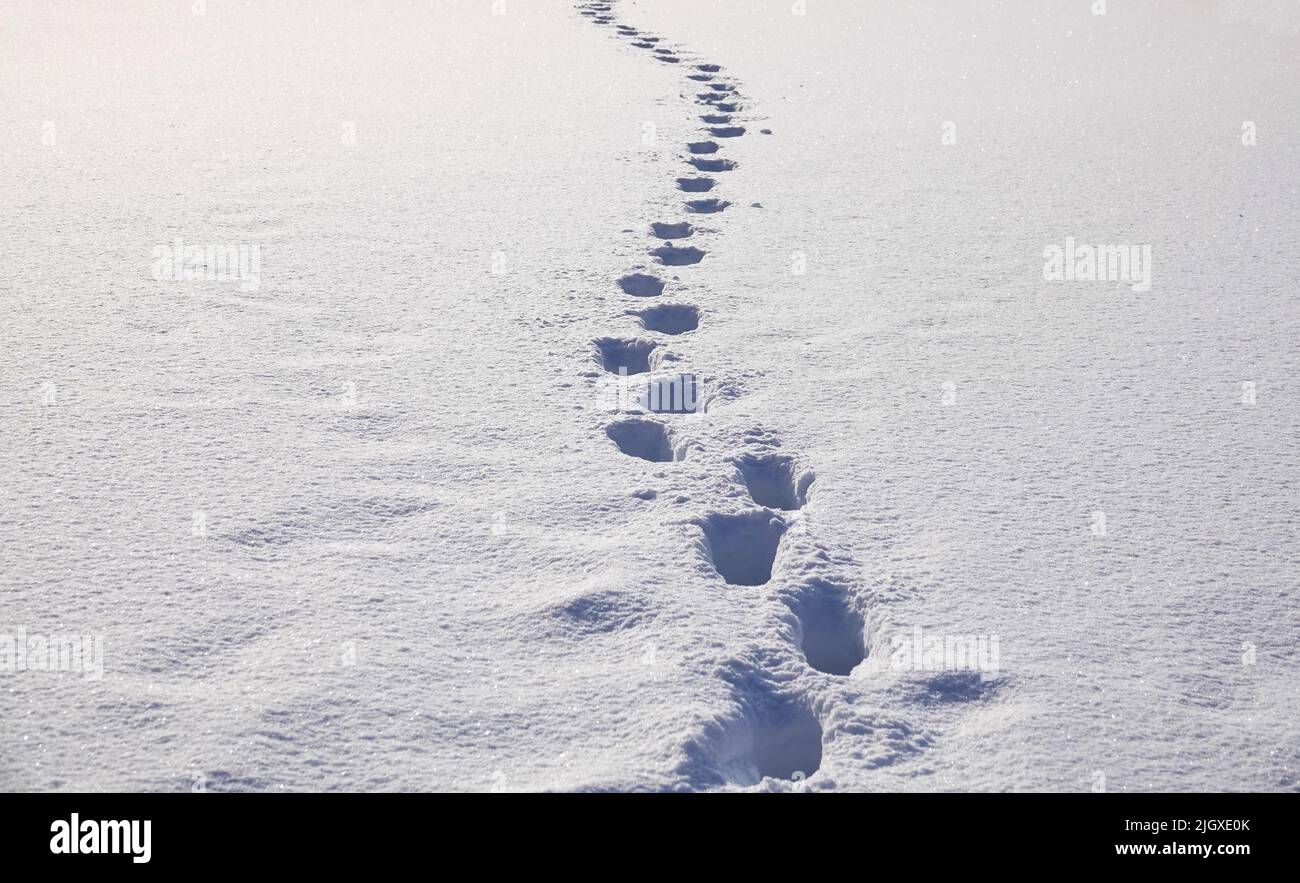 Falling snowflakes in slow motion hi-res stock photography and images ...
