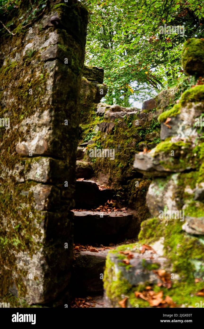 Virginia park lodge cavan hi-res stock photography and images - Alamy