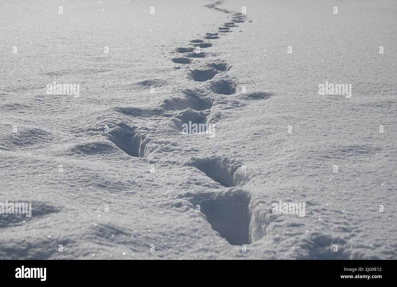 Human footprints in the snow Stock Photo - Alamy