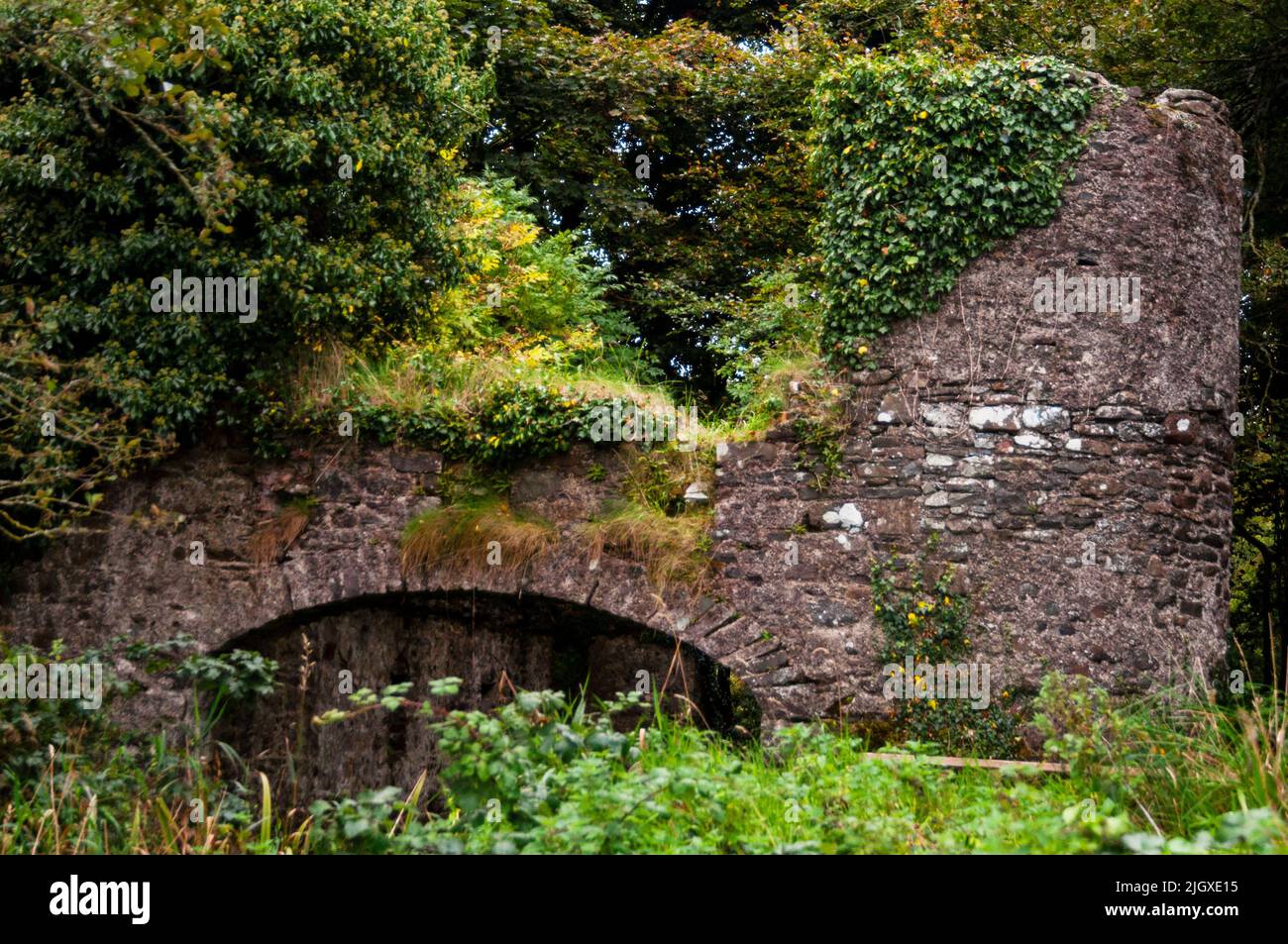 Arched boathouse ruins on the shores of Lough Ramor in County Cavan ...