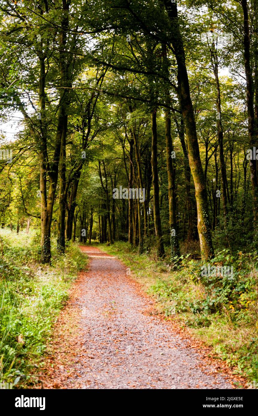 Virginia park lodge cavan hi-res stock photography and images - Alamy