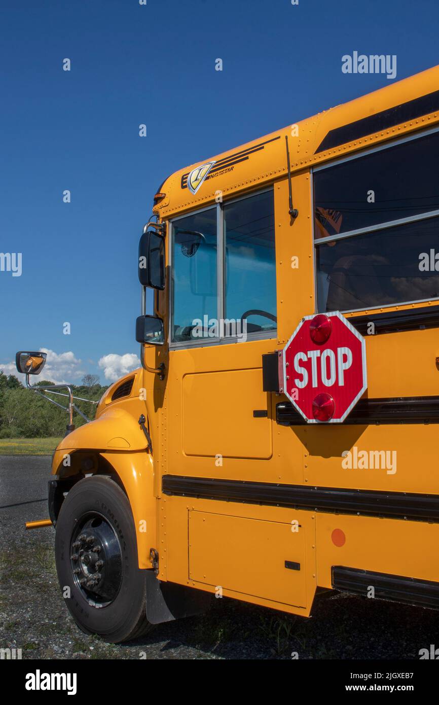Big Yellow School Bus are parked, clean and shiny waiting to bring the ...