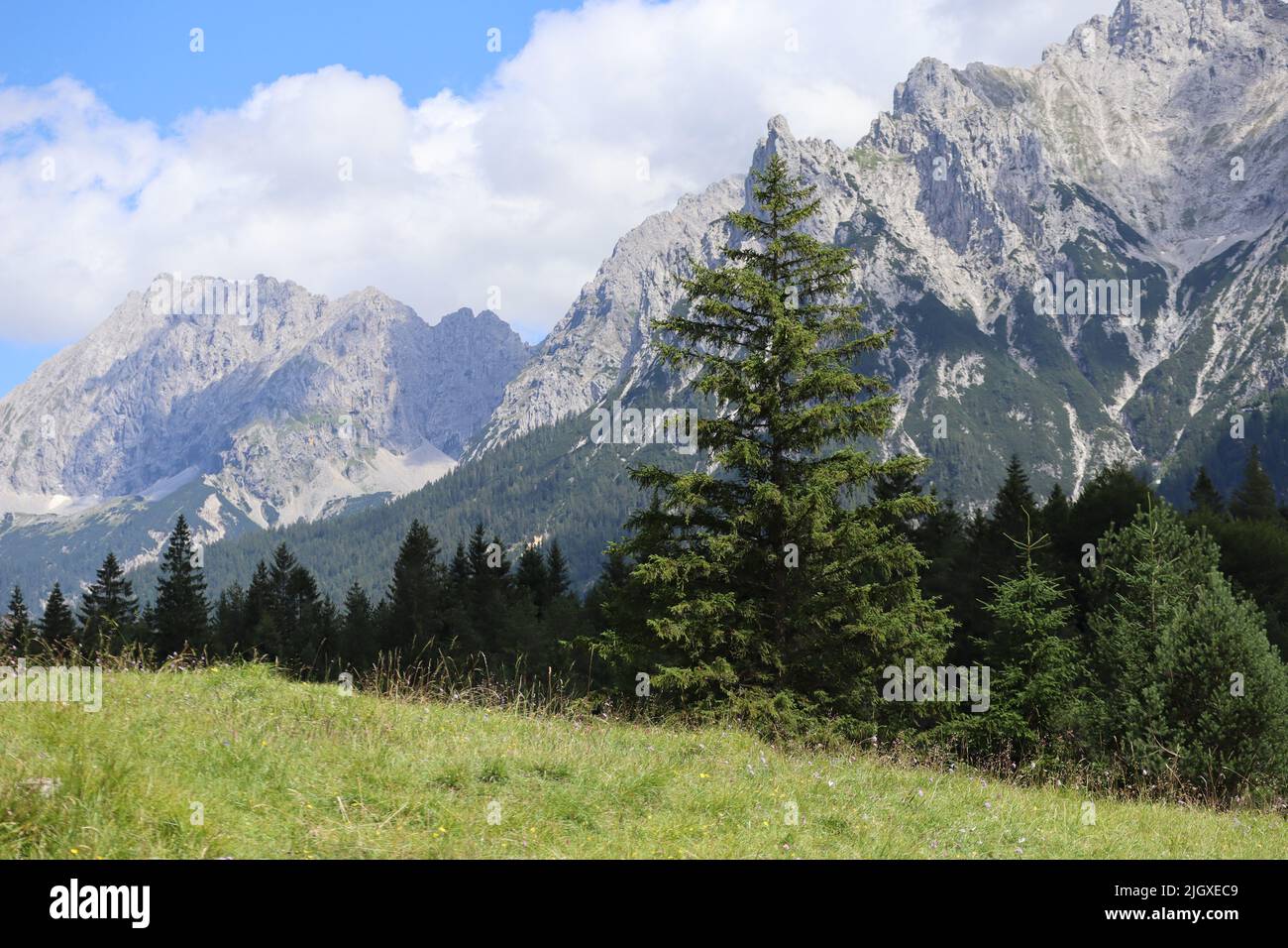 Mountains, Forests and Meadows with pretty Clouds Stock Photo - Alamy