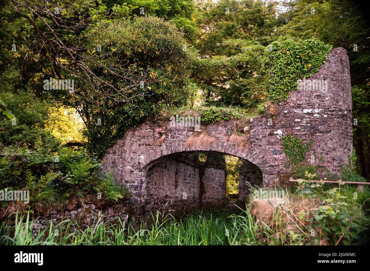 Boathouse ruins by Lough Ramor in Virginia, Ireland Stock Photo - Alamy