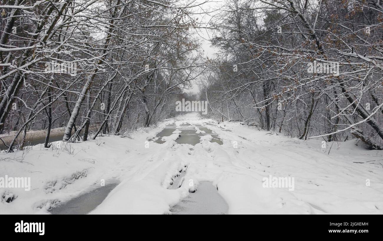 Impassable road in a winter forest with huge puddles Stock Photo - Alamy