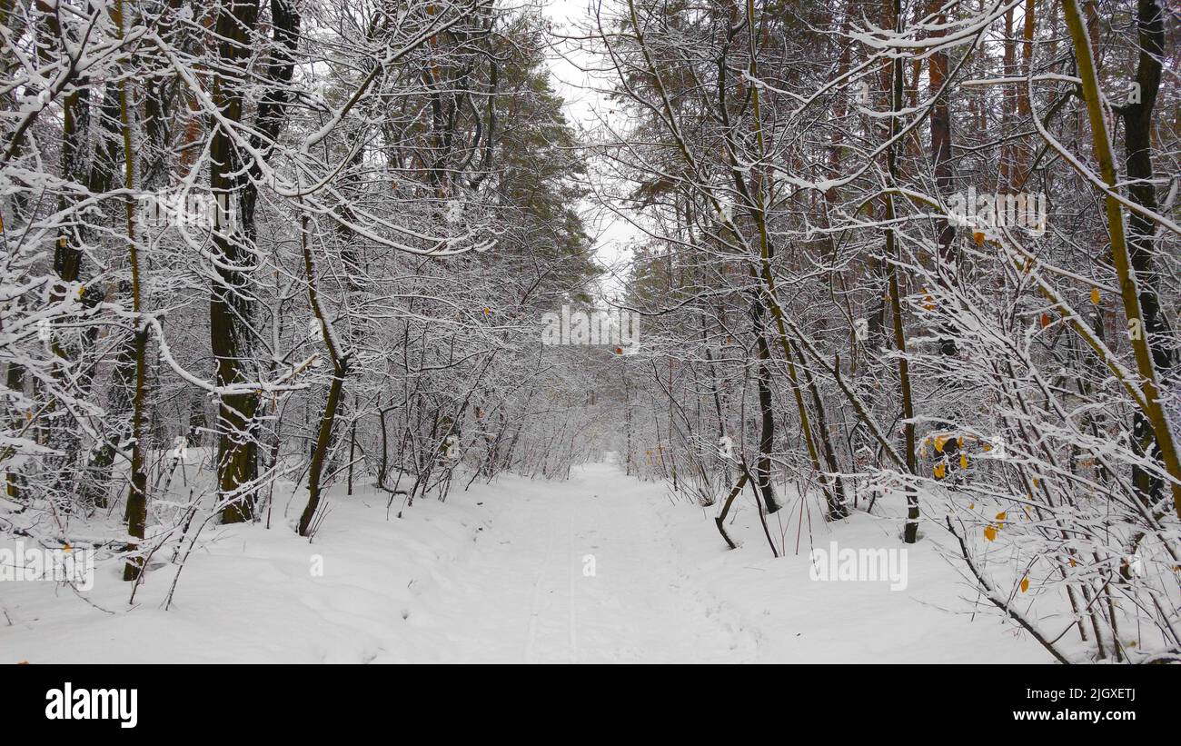 Alley with snow hi-res stock photography and images - Alamy