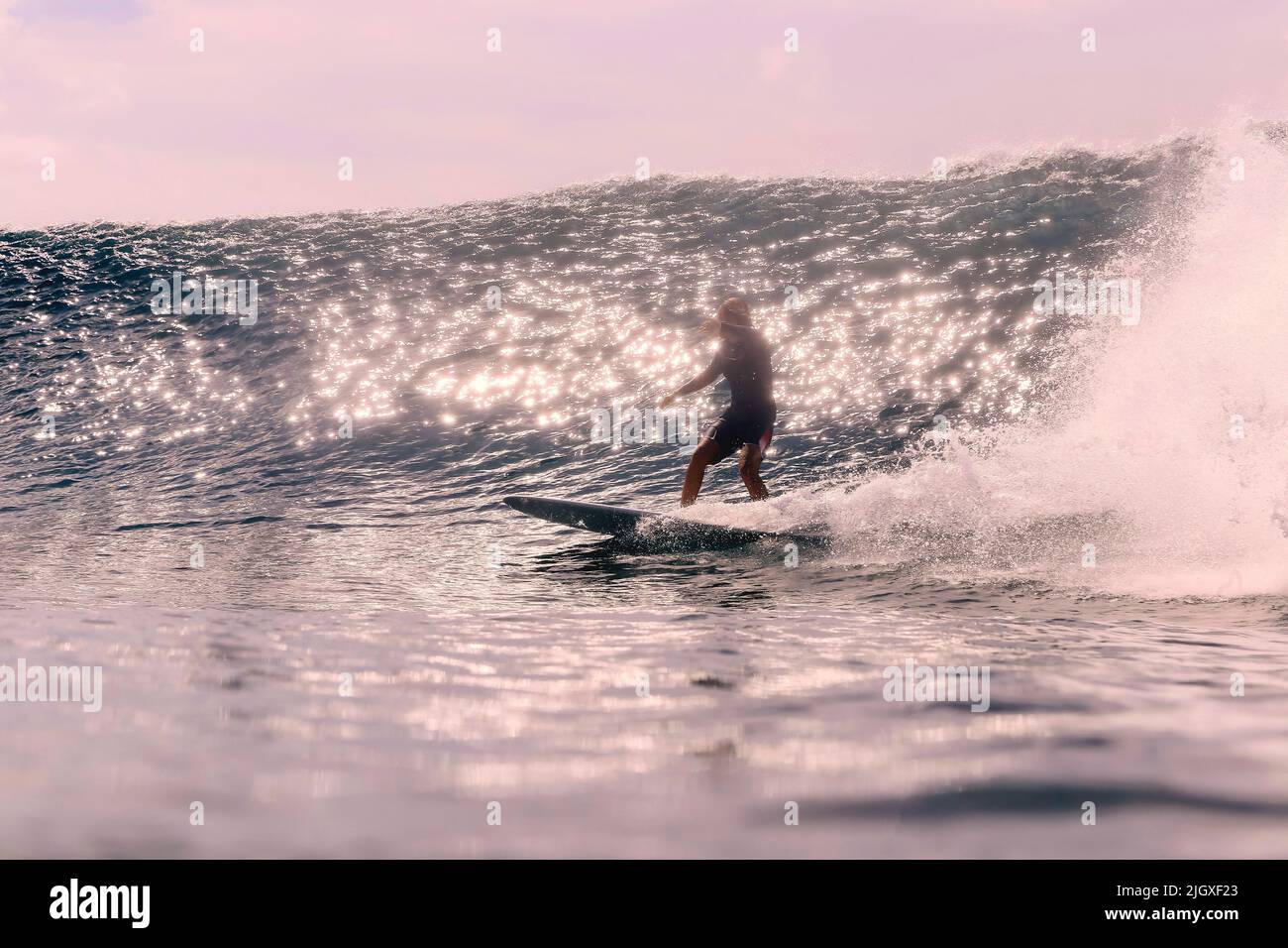 Male surfer on a wave, Maldives Stock Photo - Alamy