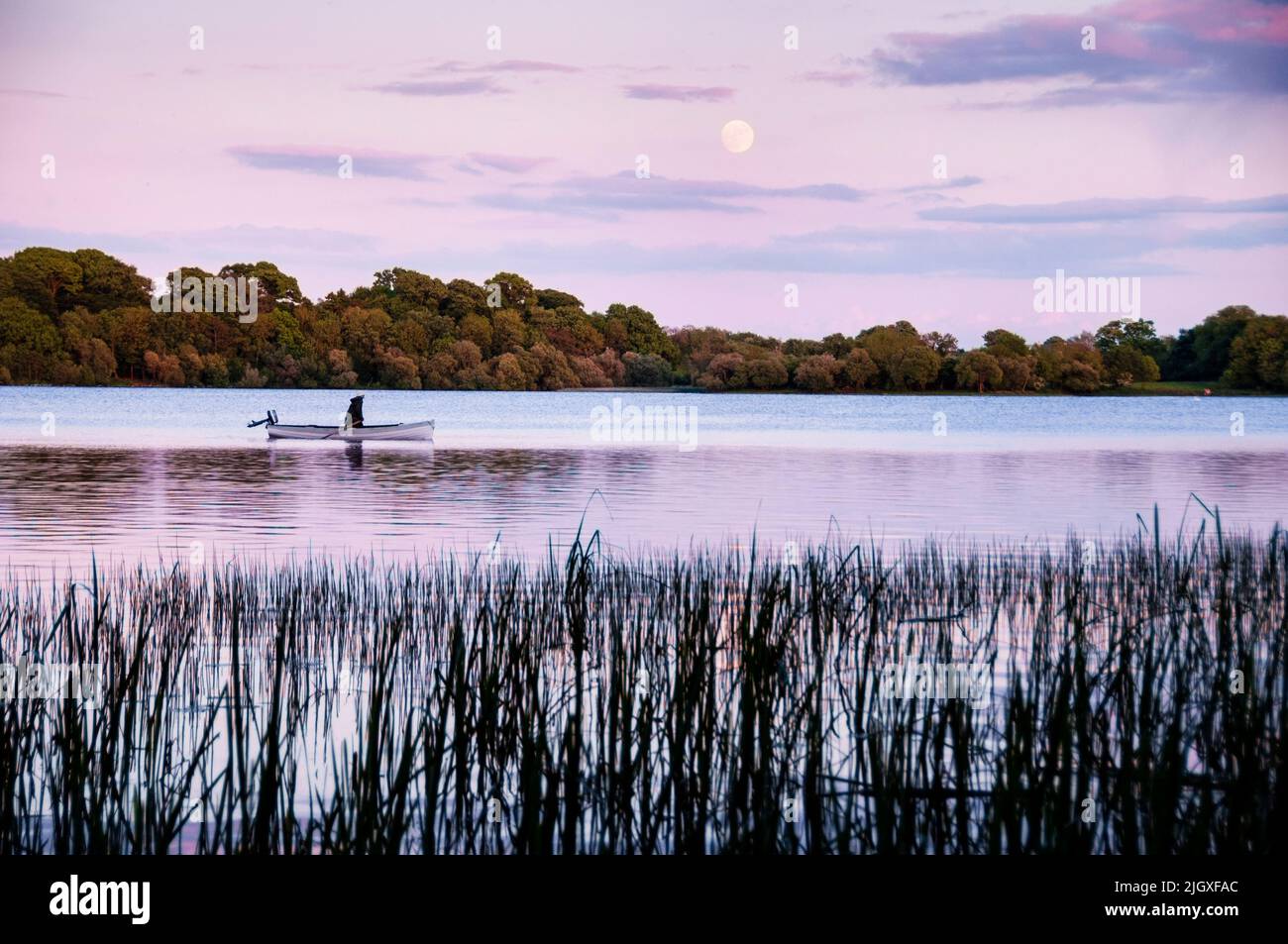 Virginia park lodge cavan hi-res stock photography and images - Alamy