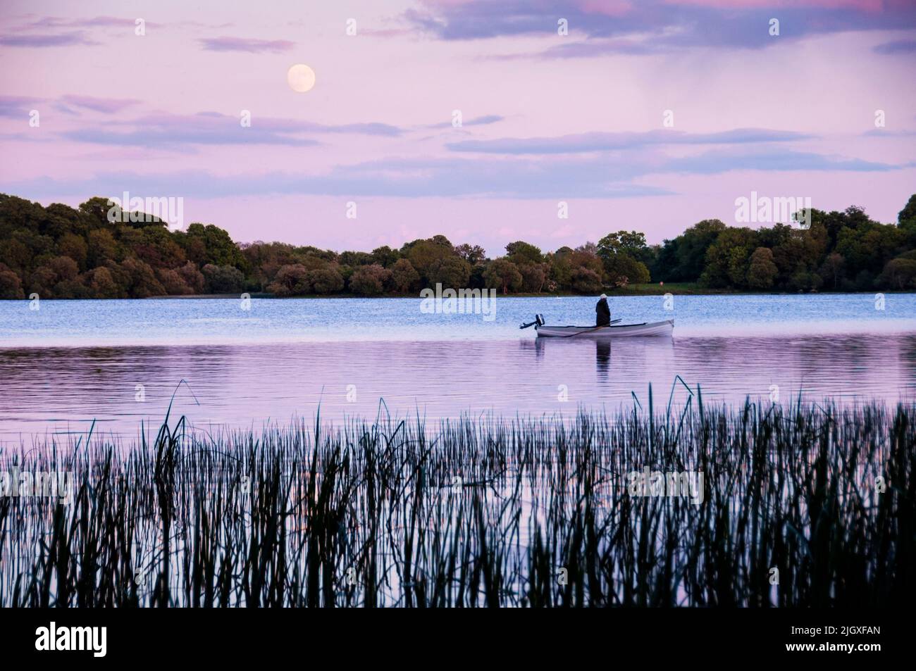 Virginia park lodge cavan hi-res stock photography and images - Alamy