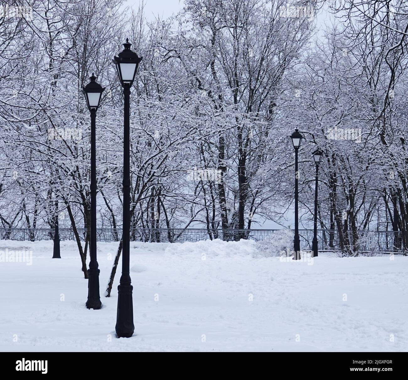 Winter Park Kiev Ukraine Stock Photo - Alamy
