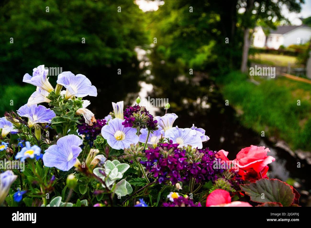 Blackwater River in Virginia, Ireland Stock Photo - Alamy