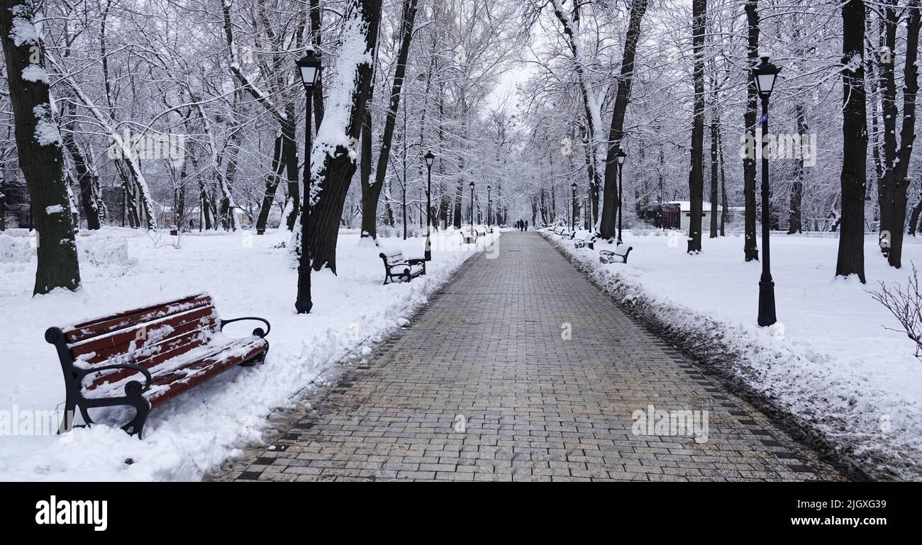 Bench in a winter park Kiev Ukraine Stock Photo - Alamy
