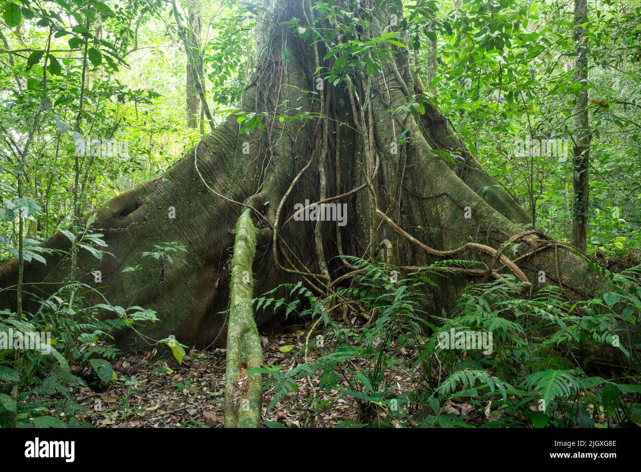 Mocke ruins hi-res stock photography and images - Alamy