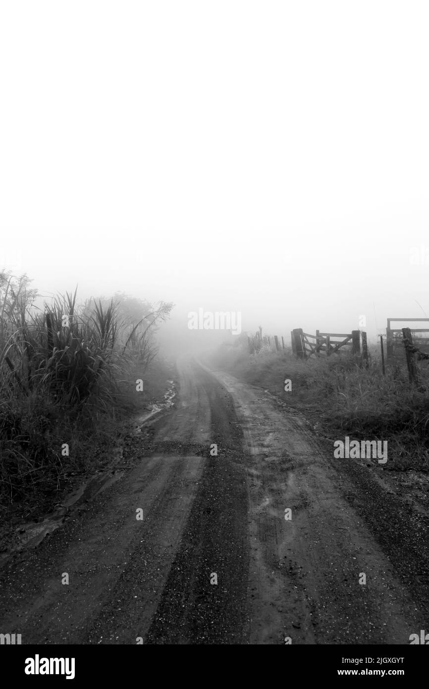 White sandy road in Black and White Stock Photos & Images - Alamy