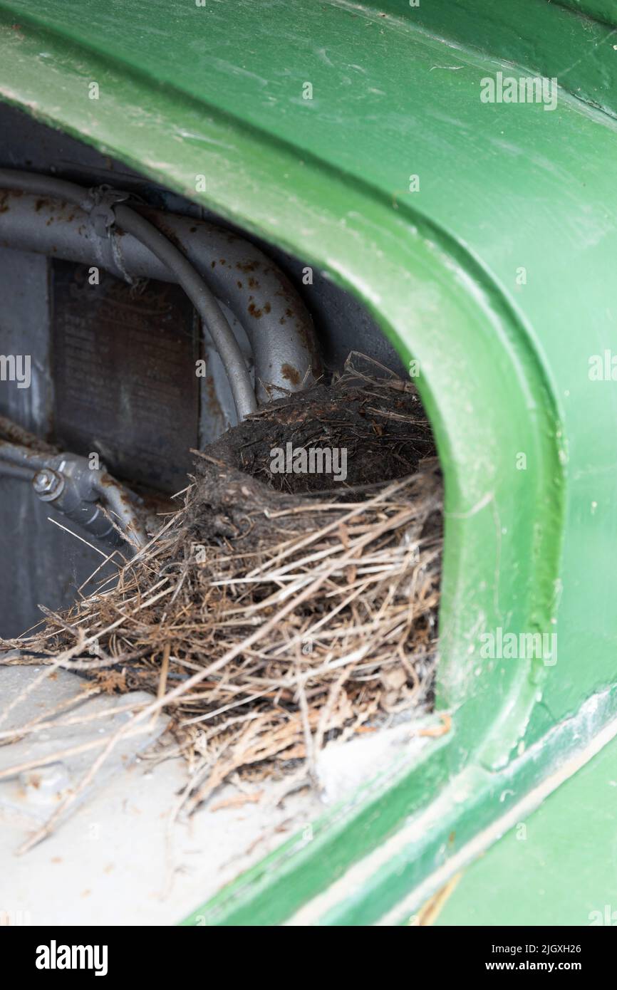 Empty birds' nest in a Green Bristol Bus engine bay Stock Photo - Alamy