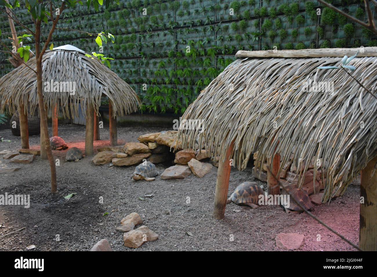 A small bamboo house made for the home of the turtle Stock Photo - Alamy