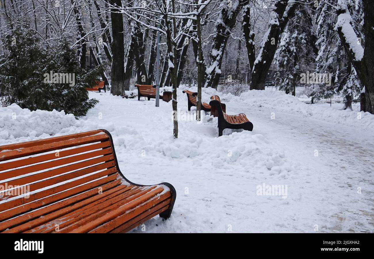 Bench in a winter park Kiev Ukraine Stock Photo - Alamy