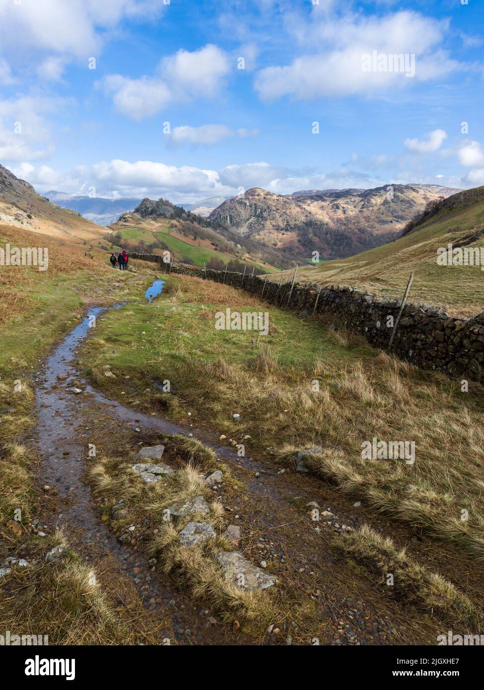 Castle Crag and Grange Fell at Borrowdale from the bridlepath at High ...