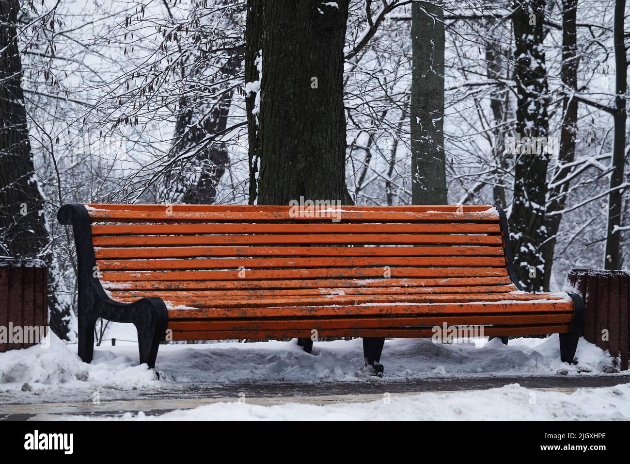 Bench in a winter park Kiev Ukraine Stock Photo - Alamy