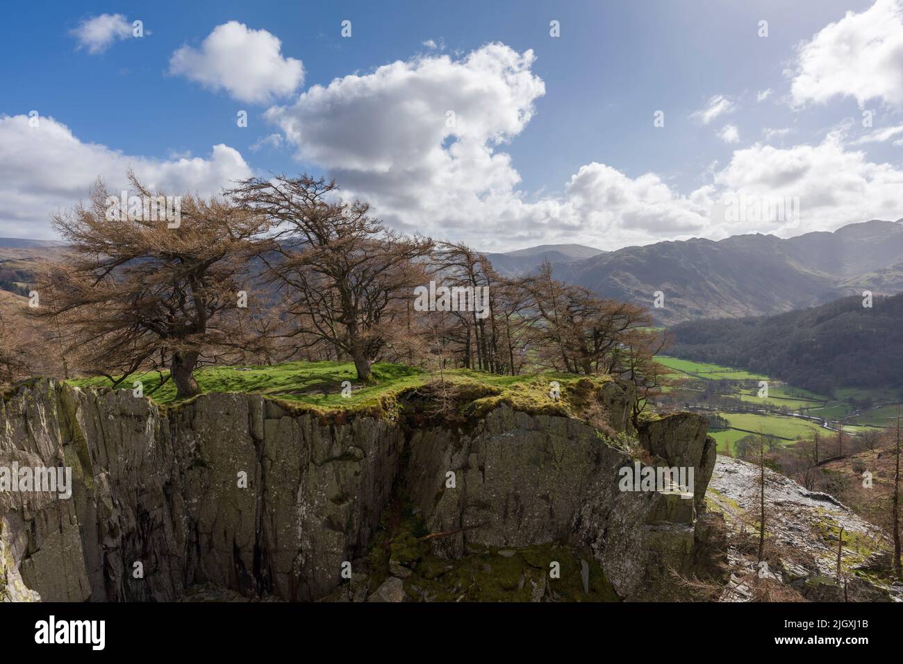 Trees atop Castle Crag in early spring at Borrowdale in the Lake ...