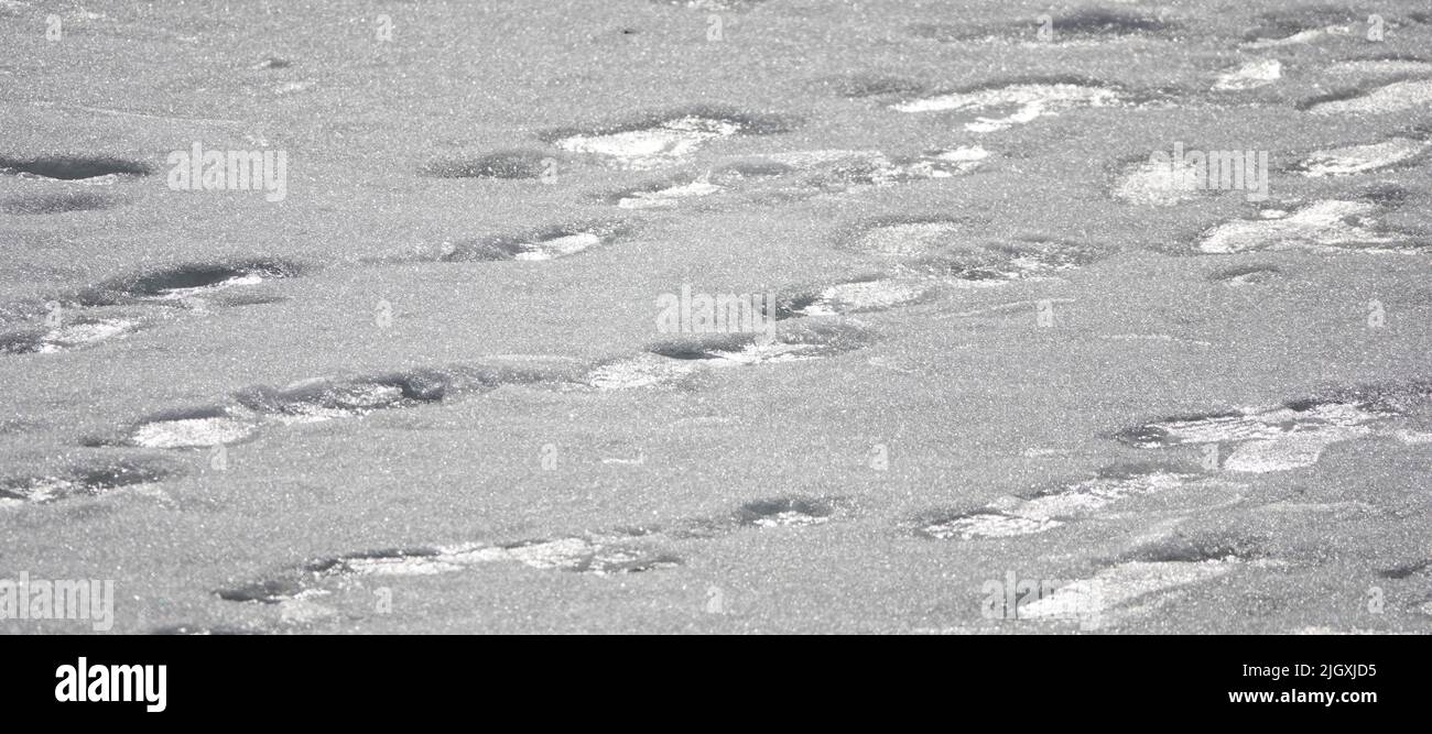 Human footprints in the snow Stock Photo - Alamy
