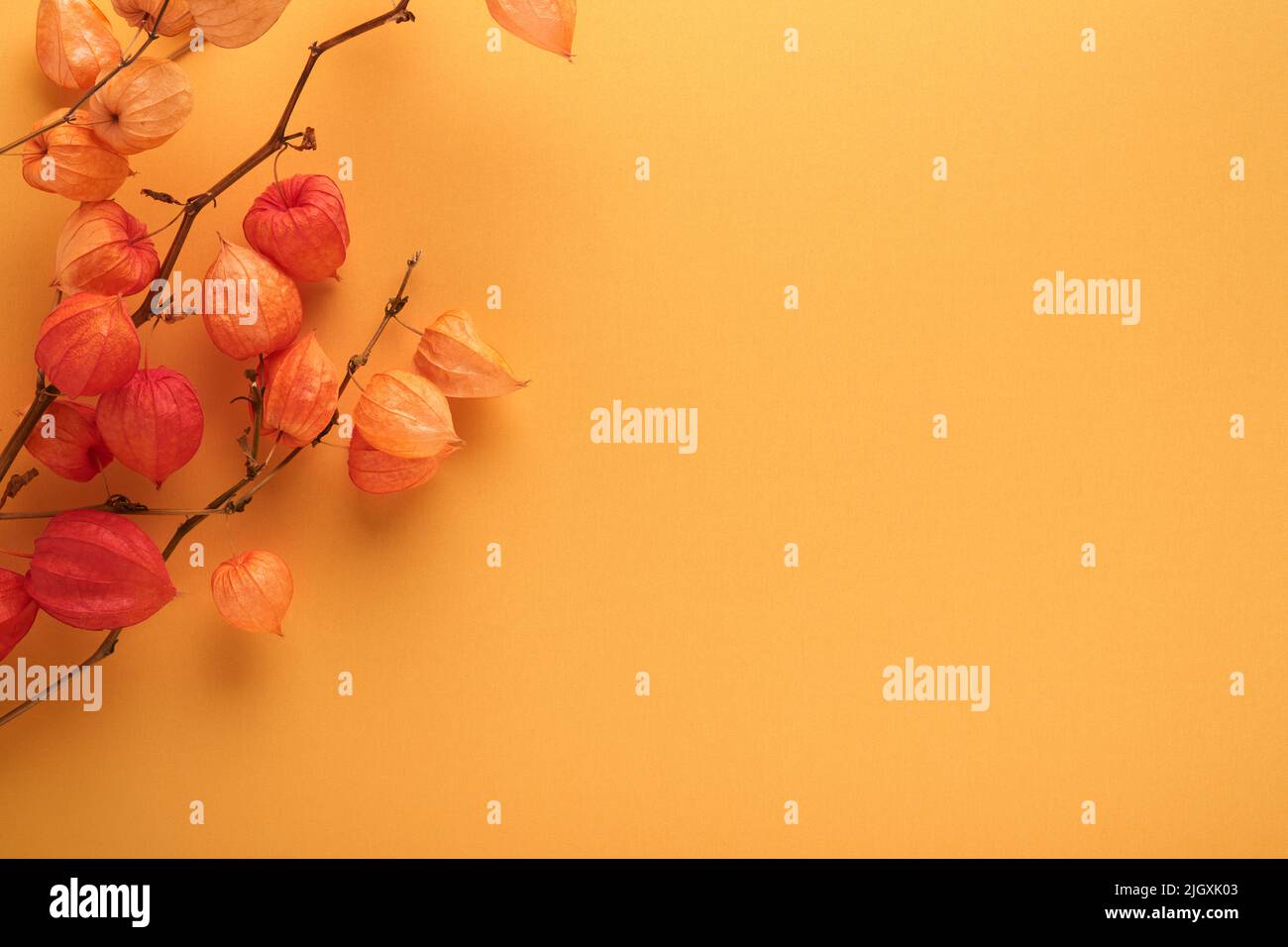 Orange Halloween background. Flock of black bats and branch of dry ...