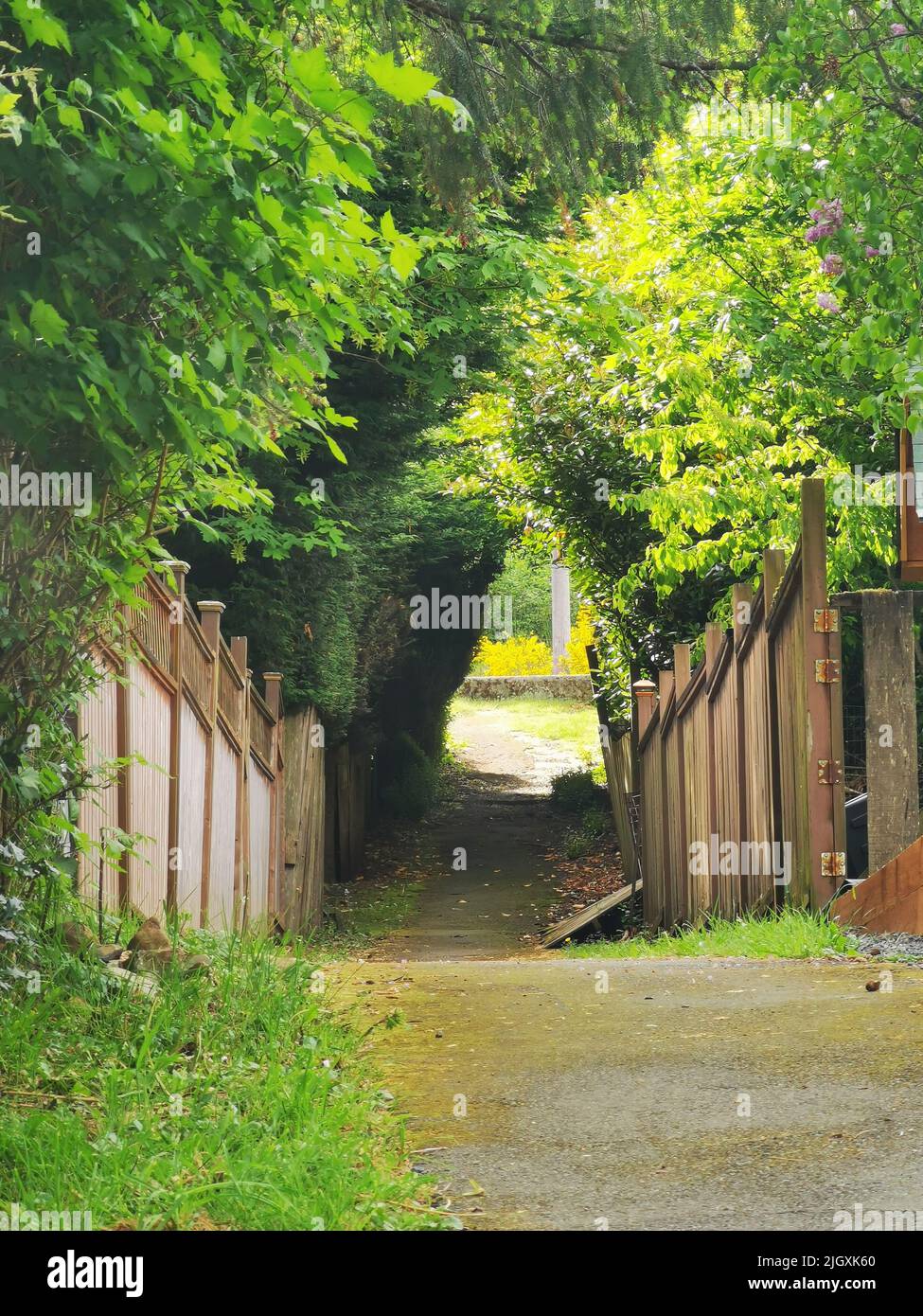 Vertical shot road hi-res stock photography and images - Alamy