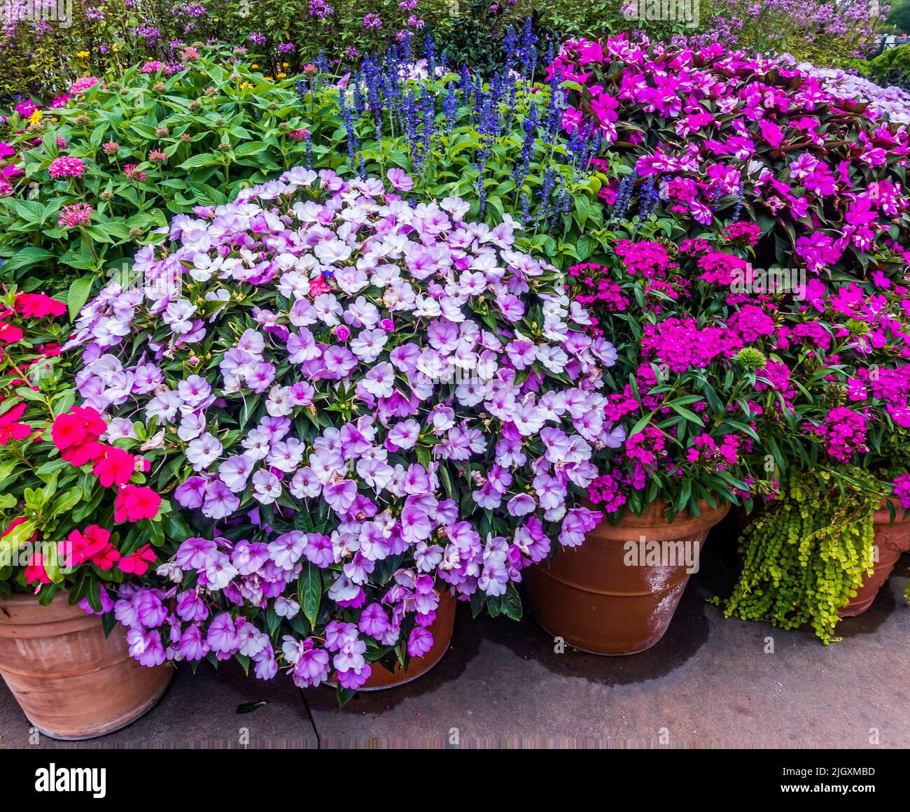 State planters hi-res stock photography and images - Alamy