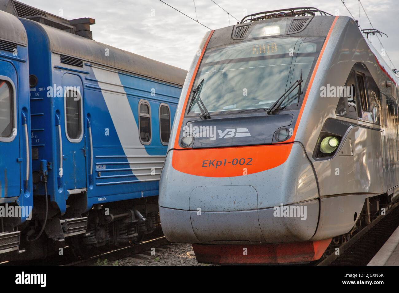 Tarpan train hi-res stock photography and images - Alamy