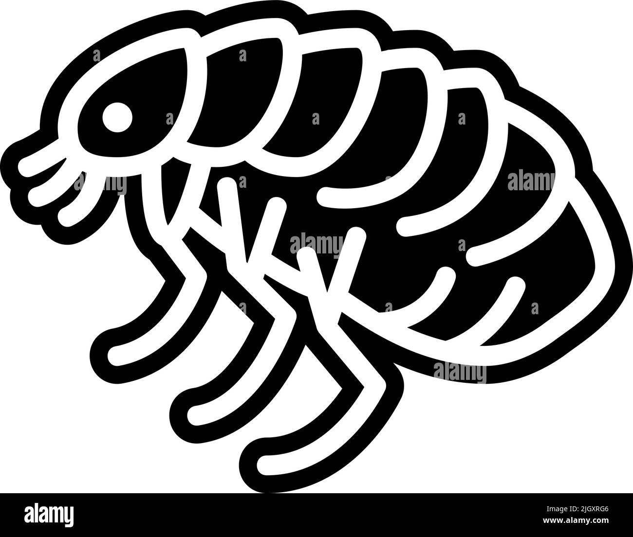 Insects parasites pest control flea icon Stock Vector Image & Art - Alamy