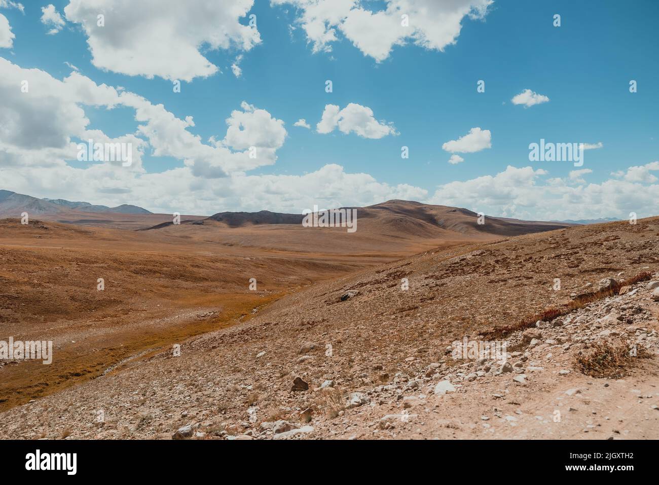 beautiful landscape of Deosai National Park valley with sunny blue sky ...