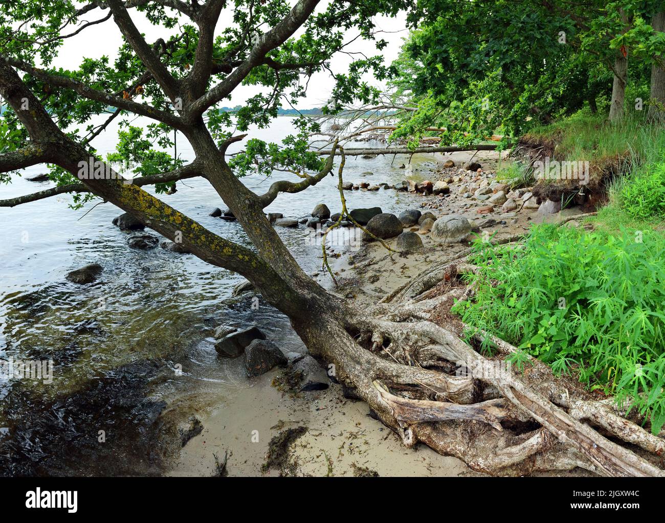 Coastal erosion undercut hi-res stock photography and images - Alamy