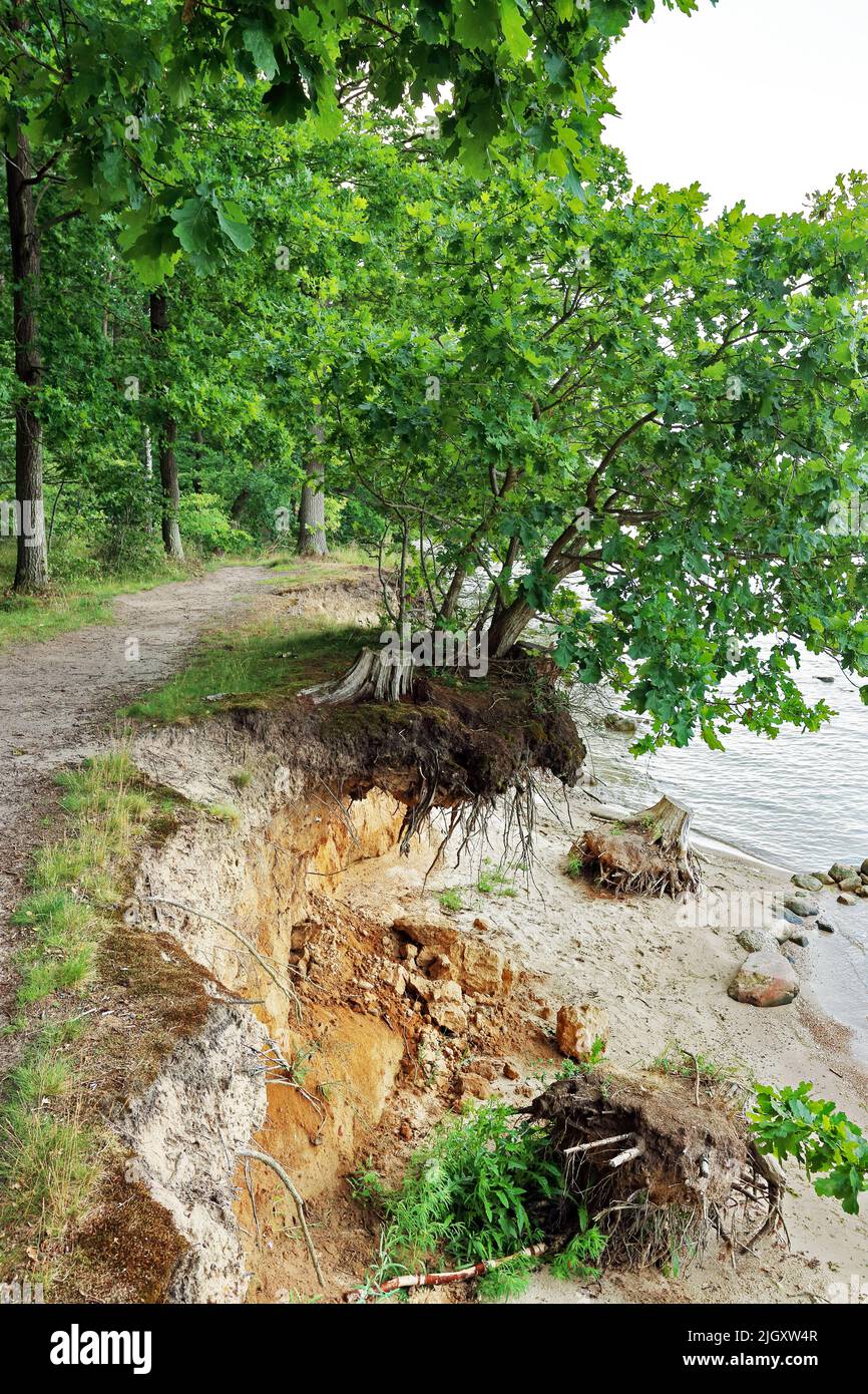 Coastal erosion undercut hi-res stock photography and images - Alamy