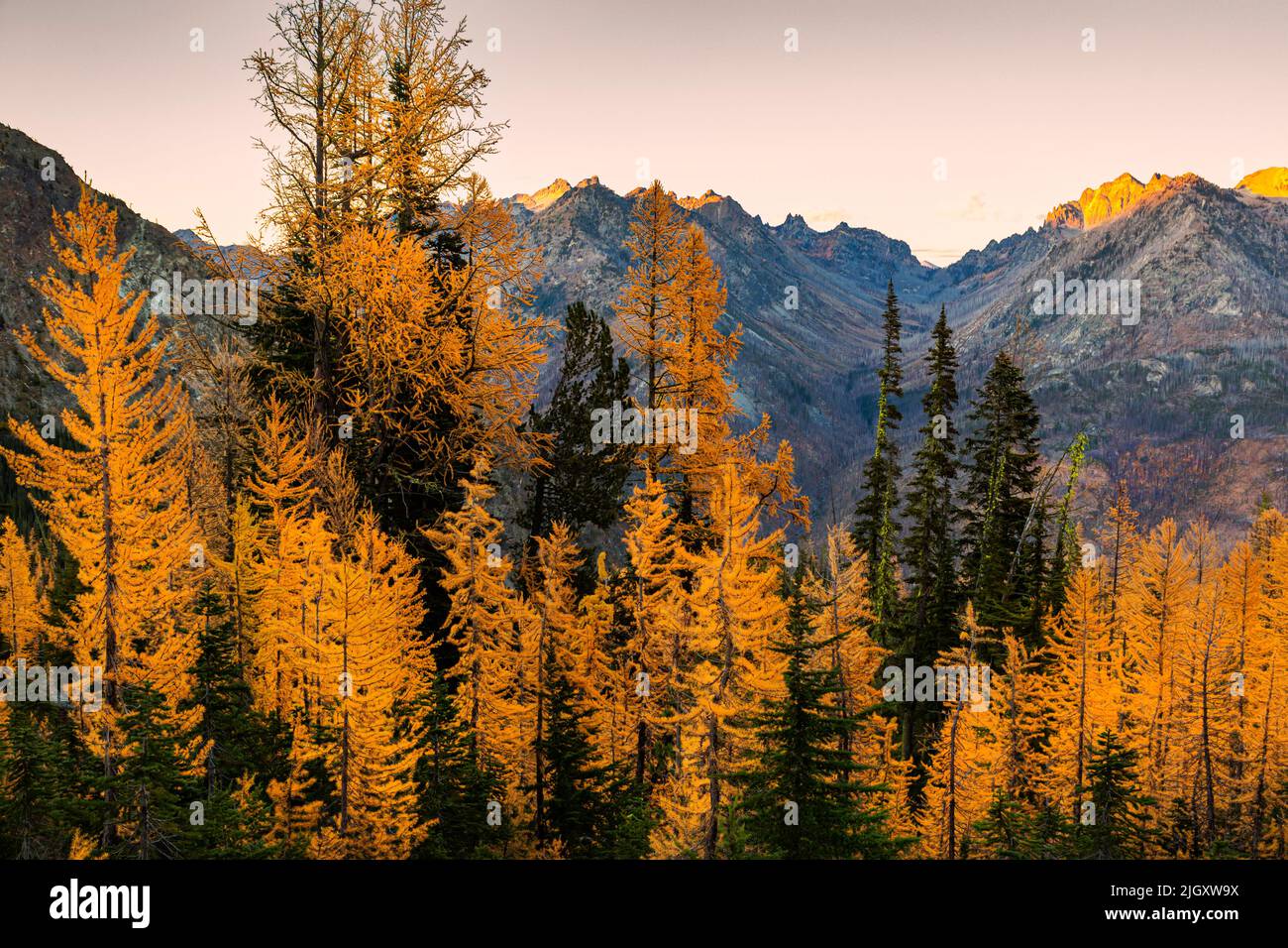 WA21756...WASHINGTON - Sunset view of the Entiat River Valley burnt by ...