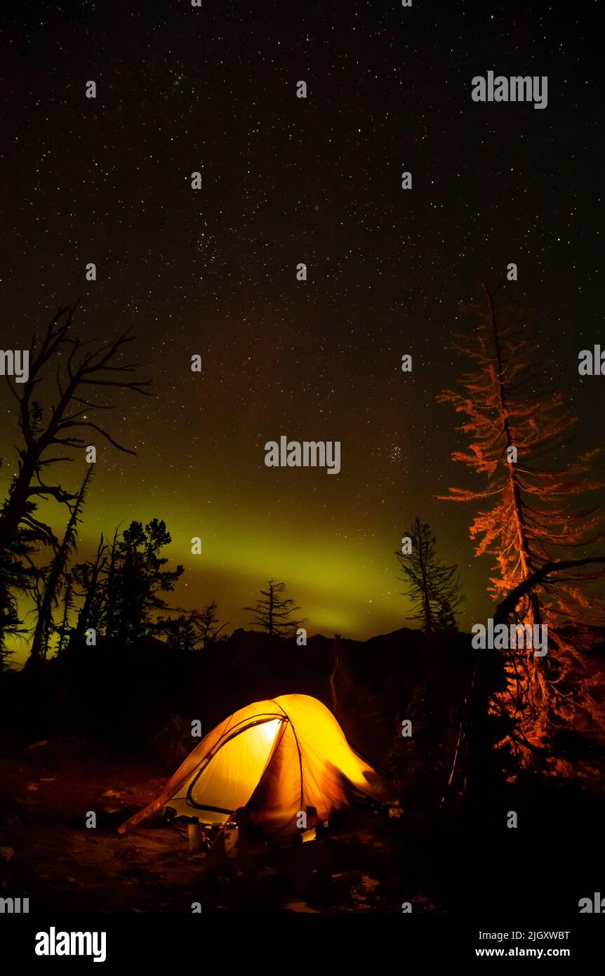 WA21759-00...WASHINGTON - Stars and the Aurora Borealis, Northern ...