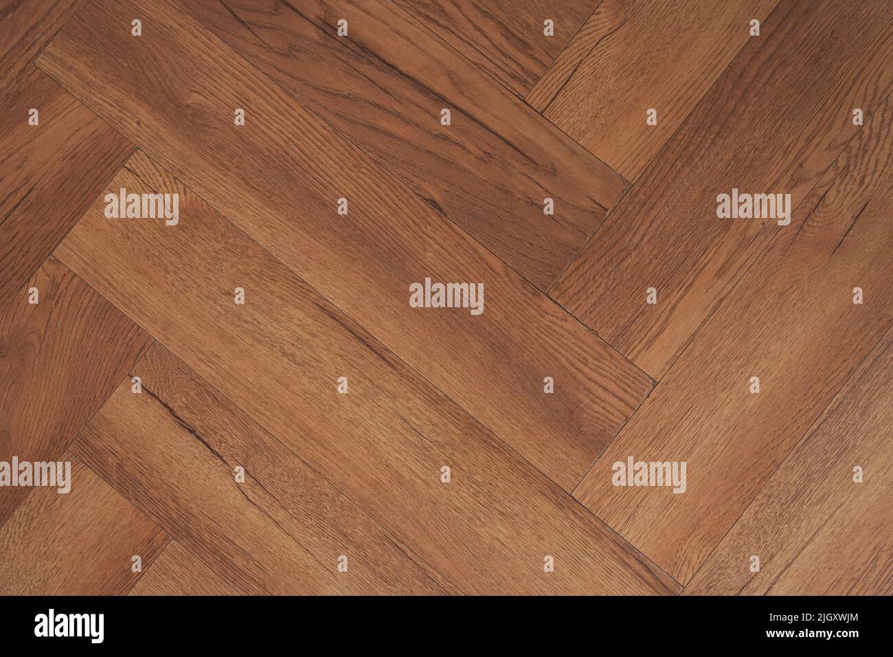 Oak parquet, interior floor, top view with copy space, wooden board ...