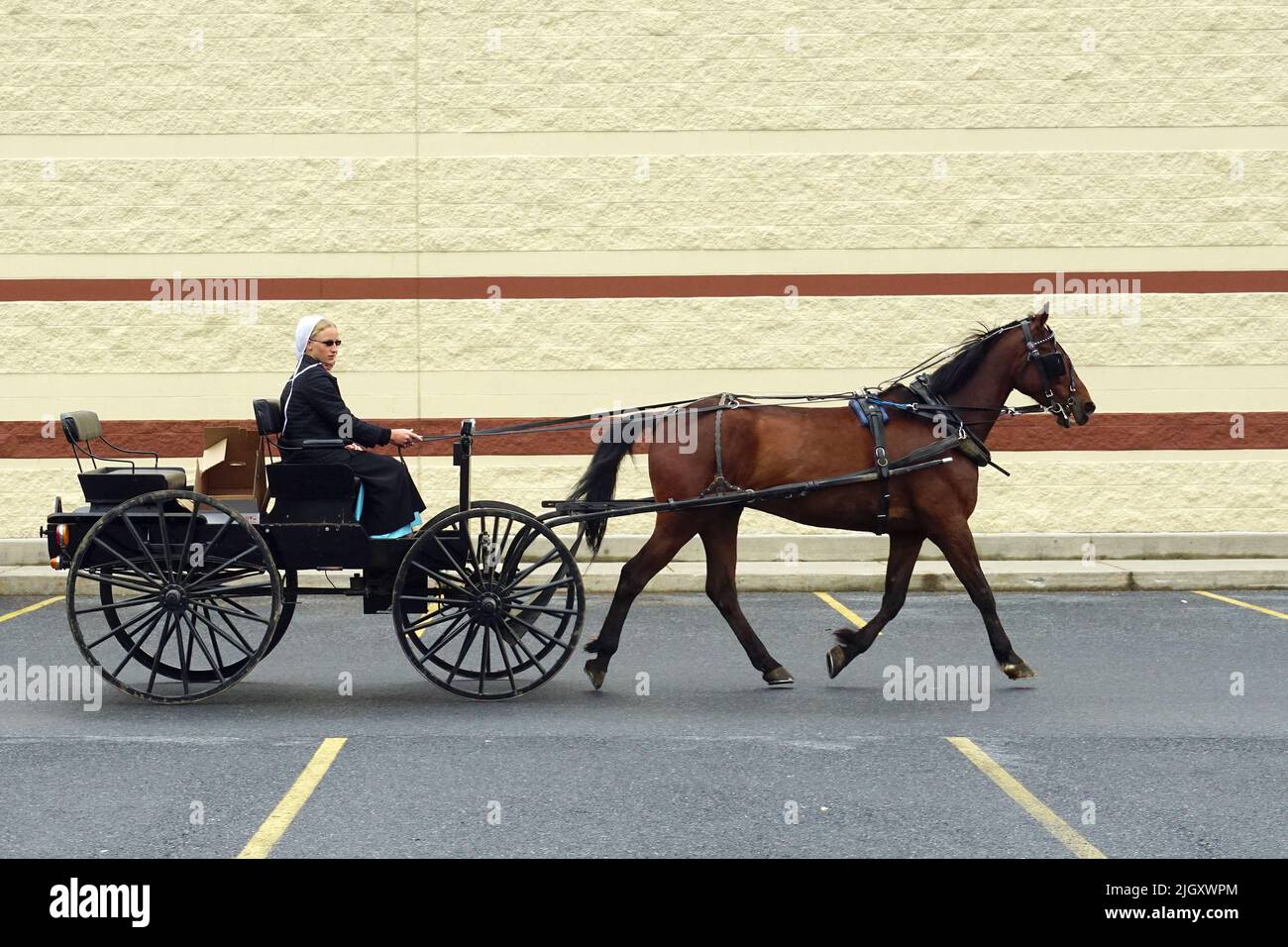 traditional Amish buggy, Lancaster, Pennsylvania, USA, North America ...
