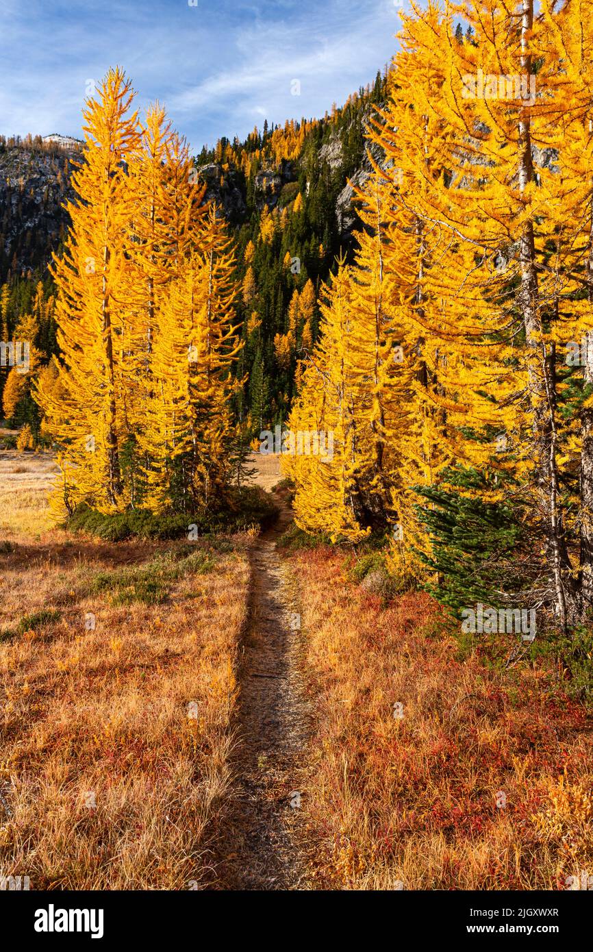 WA21776-00...WASHINGTON - Garland Peak Trail in the Upper Larch Lakes ...