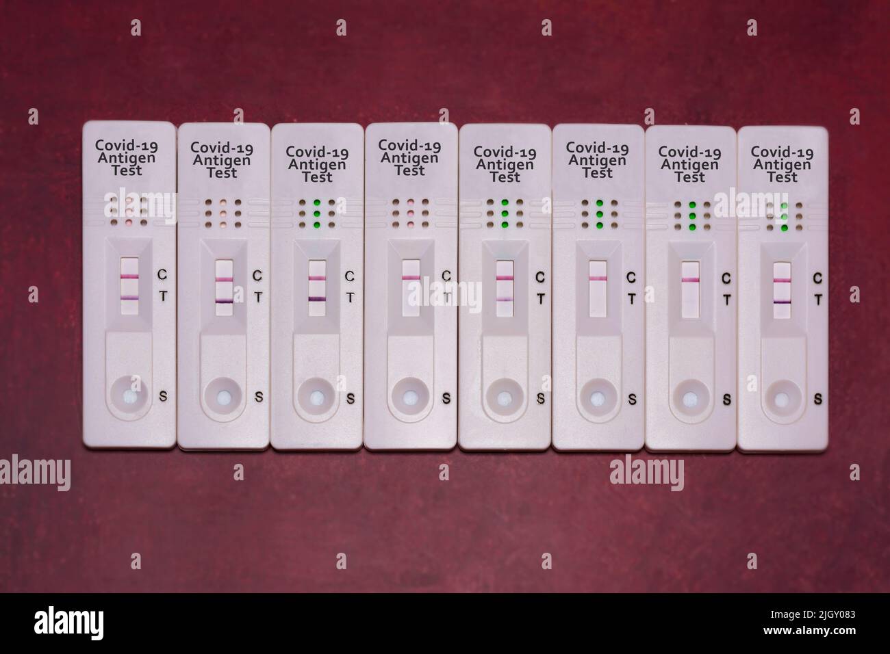 Coronavirus antigen test in a row, with positive and negative results ...