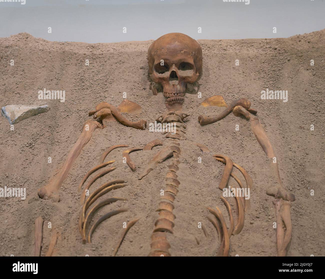 Buried human skeleton hi-res stock photography and images - Alamy