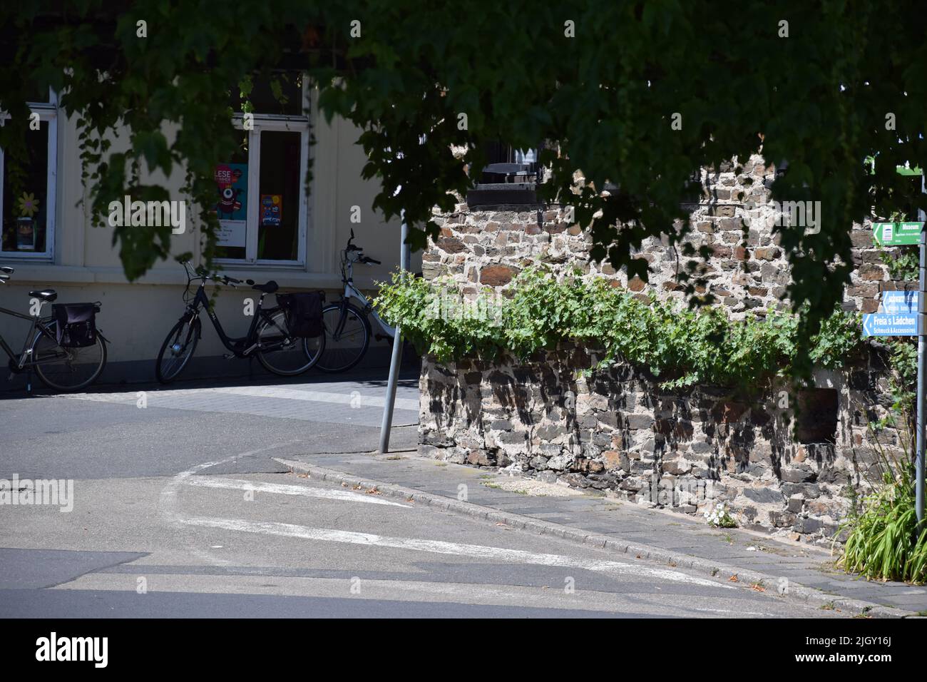 vine growing along a house in Winningen Stock Photo - Alamy