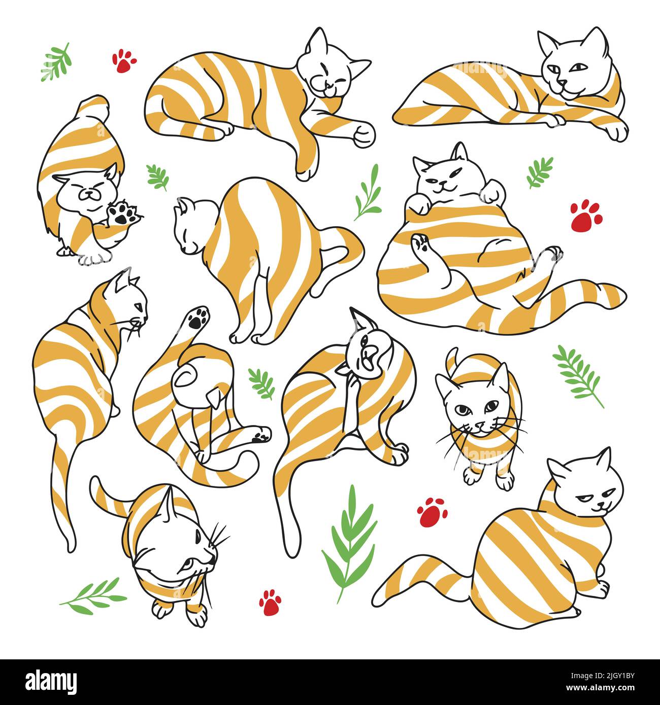 Funny striped cats set, collection of cartoon pets, in different angles ...