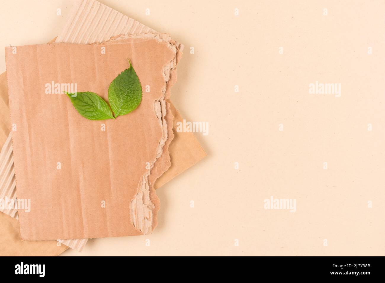 Corrugated cardboard texture as eco background for ecological project ...