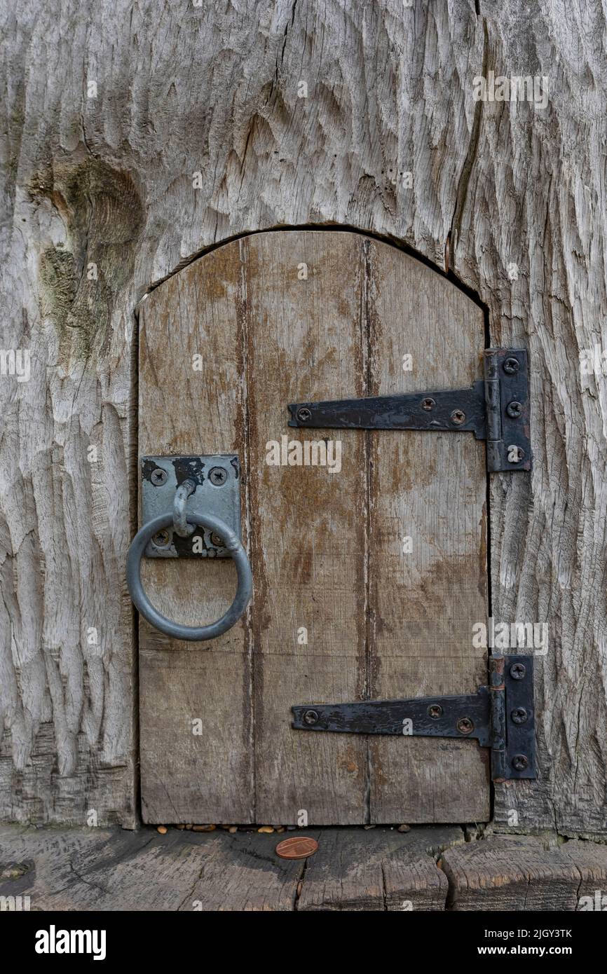 Small wooden doorway in tree trunk with black hinges and door handle ...
