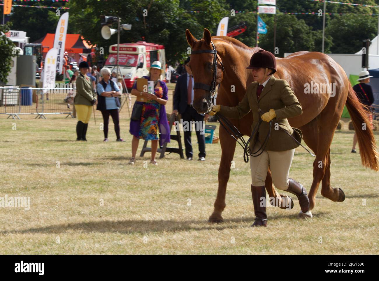 Horse with rider trotting alongside in the President's Ring at the ...