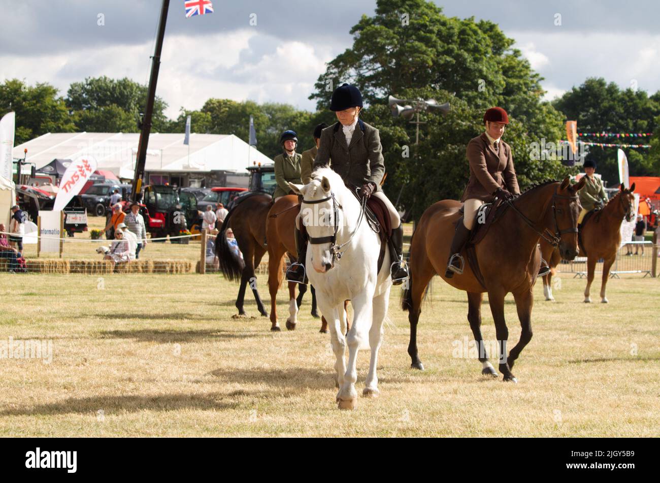 Horses on show in the President's Ring at the Tendring Hundred Show in ...